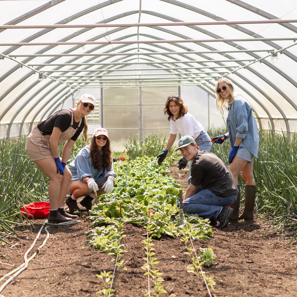 Holiday Box 2025 – Jilly Box